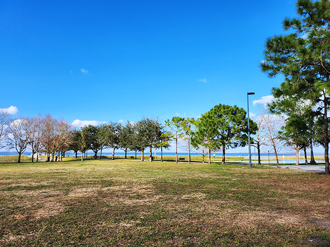 Shaded by Florida pines, this lakeside park offers respite from summer heat and front-row seats to nature's ongoing performance.