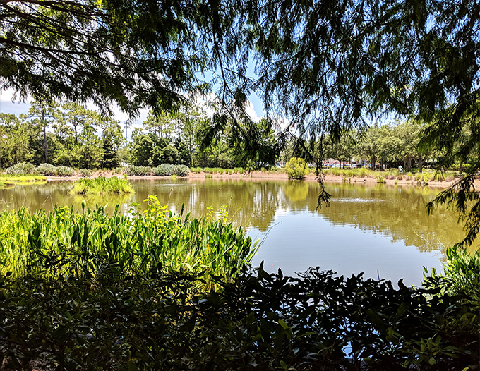 One of the rare coastal dune lakes that makes this area ecologically special &ndash; like finding an environmental celebrity in your backyard.