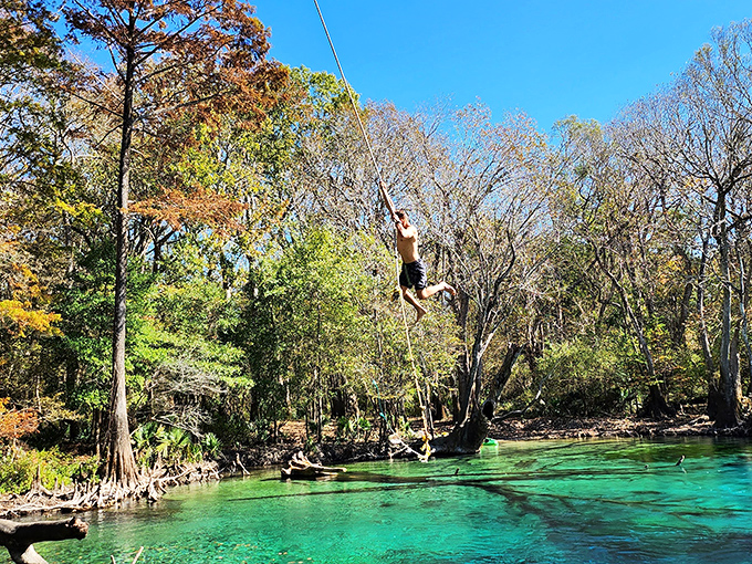 The legendary rope swing: Florida's version of a time machine, transforming adults back into gleeful kids with one exhilarating splash.