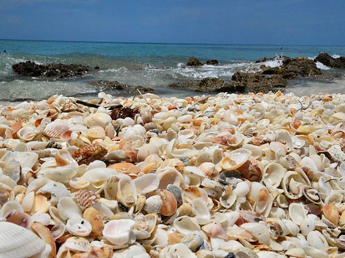 A spectacular shell blanket stretches as far as the eye can see &ndash; Mother Nature's own welcome mat to this fossil-rich paradise.