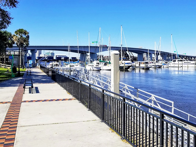 The Southbank Riverwalk offers perfect strolling conditions with palm trees, blue skies, and the constant companionship of the mighty St. Johns River.