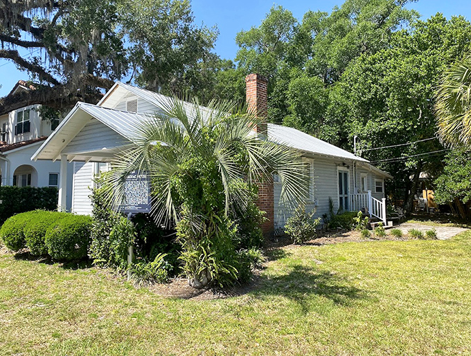 On bright days like this, the Kerouac House seems to glow with creative energy, Spanish moss dancing in the breeze above.