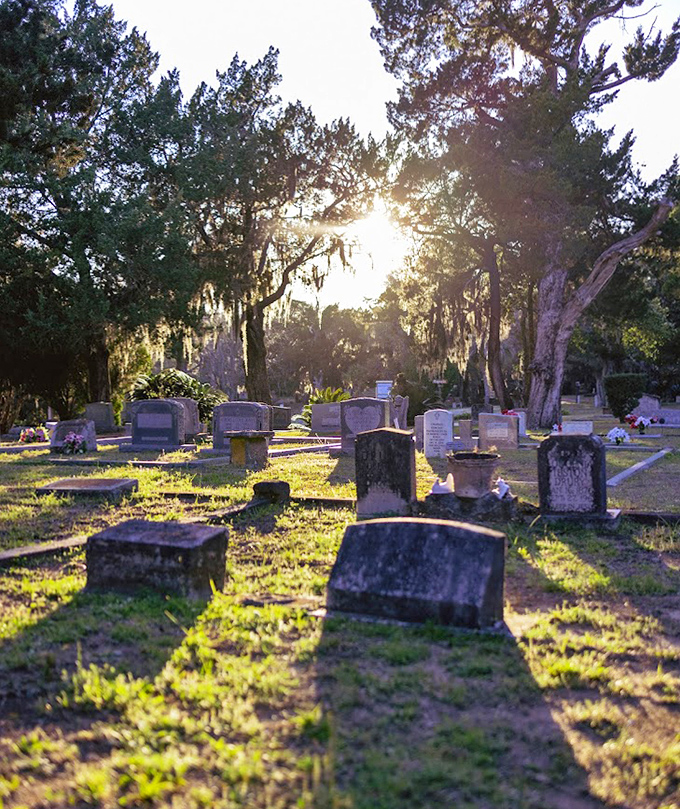 Golden hour transforms the cemetery into a painter's dream, headstones casting long shadows across the hallowed ground.