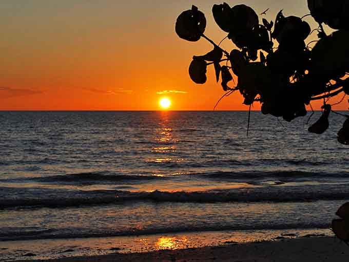 The sun bids farewell in spectacular fashion, painting the Gulf waters with molten gold that would make King Midas jealous.