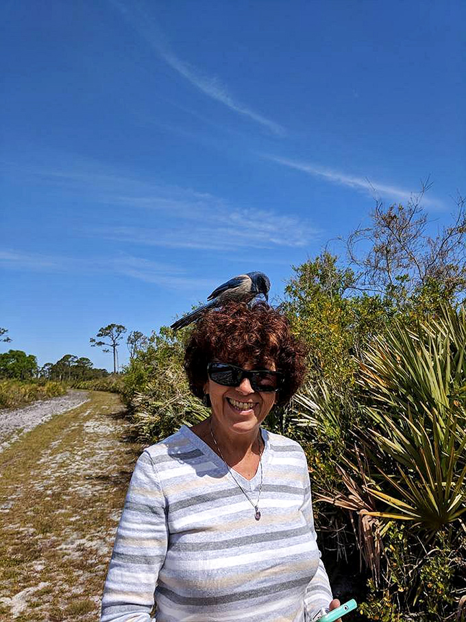 When a curious Florida Scrub Jay decides your hair makes the perfect perch, you've officially been welcomed to the sanctuary.