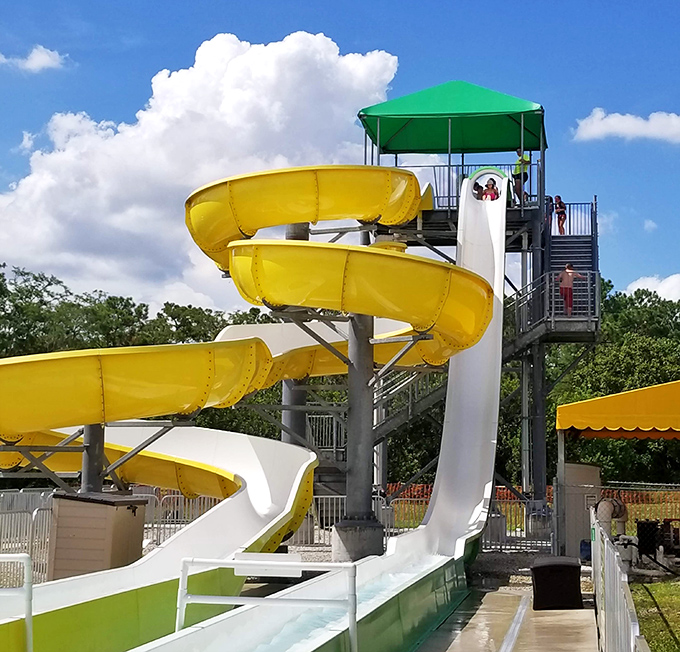The yellow spiral slide stands like a twisted monument to gravity-powered joy, delivering equal parts scenic views and stomach-dropping thrills.
