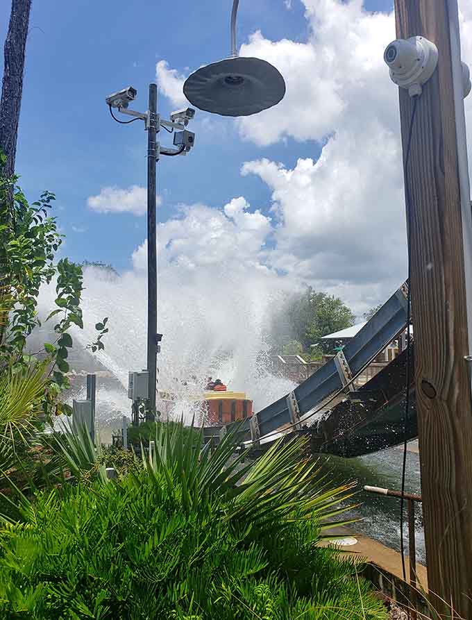 That water splash isn't just for show, it's a full-contact experience that redefines your understanding of the word "soaked" in the best possible way.