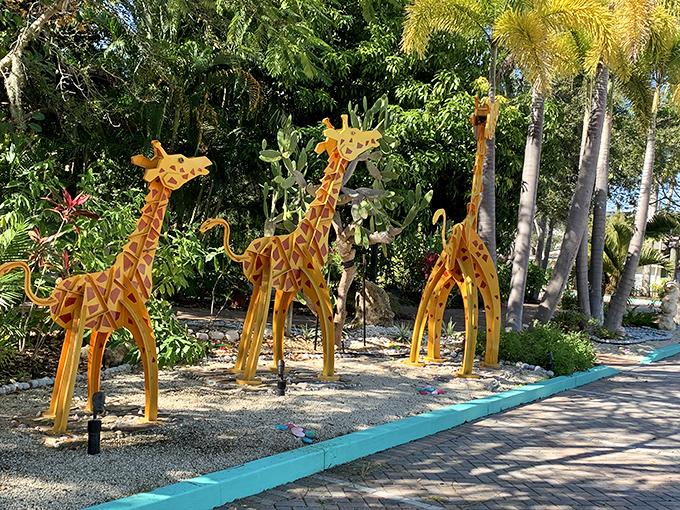 A safari of golden giraffes stands tall among palm trees, proving that even metal wildlife thrives in Florida's tropical climate.