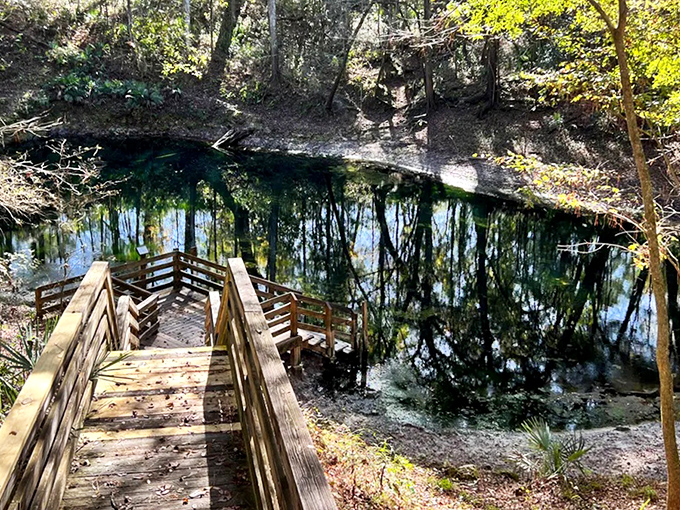 These wooden stairs lead visitors to one of Florida's most peculiar natural wonders &ndash; a river with serious commitment issues.