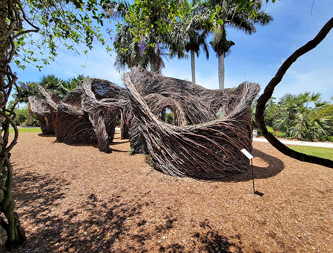 Organic art emerges from the landscape, these nest-like structures blending human creativity with natural forms.