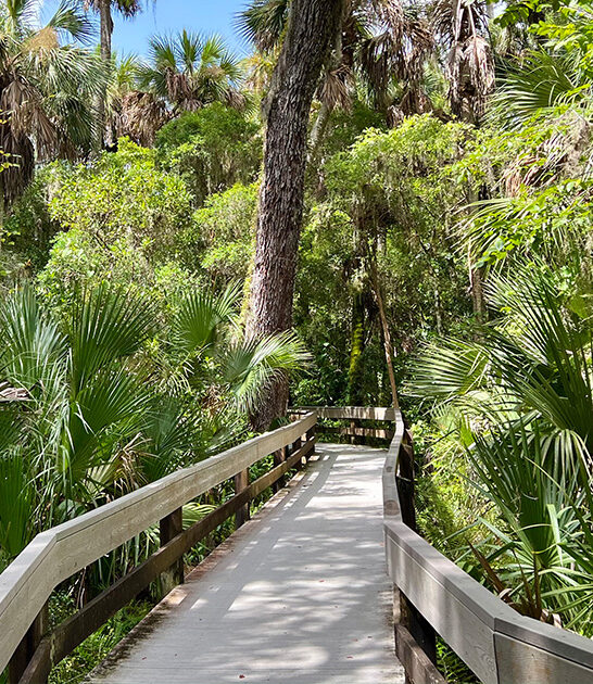 50 acre park florida ftr