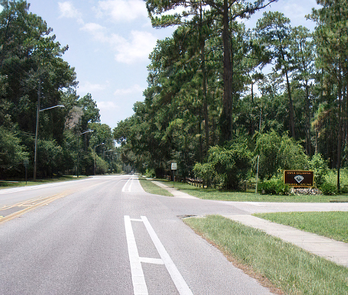 Millhopper Road dips and curves through Gainesville's lush landscape, leading travelers to the remarkable Devil's Millhopper sinkhole beyond.