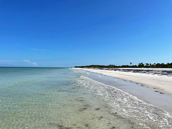 Honeymoon Island's natural shoreline showcases Florida's coastal beauty with turquoise waters meeting pristine beaches beneath bright, clear skies.