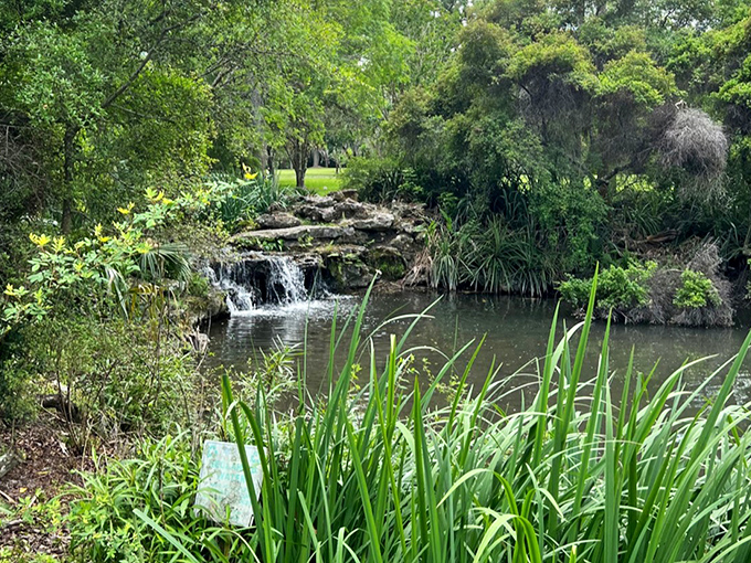 Water gently cascades down rocky steps at Kanapaha Botanical Gardens. Nature's staircase creates a soothing soundtrack for garden explorers.