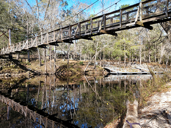 A rustic wooden bridge spans across O'Leno State Park's waterway, inviting adventurers to cross into Florida's less-traveled natural spaces.