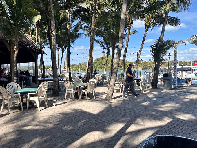 Palm trees frame the perfect waterfront escape at Square Grouper, where shoes are optional and relaxation is mandatory.