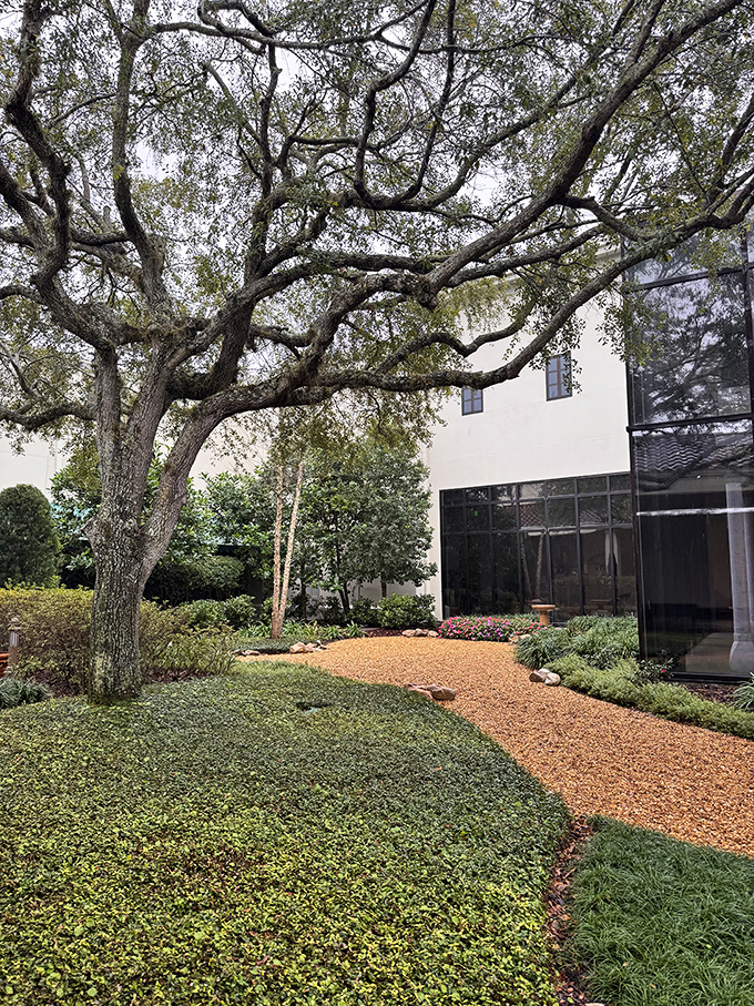 Ancient oak trees frame the pathway to the Morse Museum, where the world's most comprehensive collection of Tiffany treasures awaits.