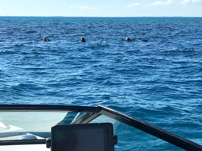 Sunlight filters through the water, creating an ethereal spotlight effect that seems to illuminate the statue with an almost divine glow.