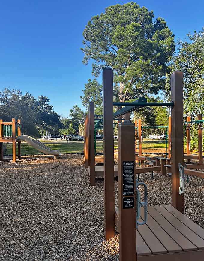 This playground proves that fun doesn't need batteries or Wi-Fi, just sunshine, imagination, and maybe a little friendly competition on the monkey bars.
