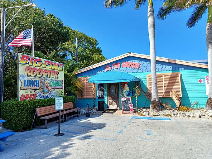 The Big Pine Rooster's vibrant exterior promises seafood so fresh it practically introduces itself before landing on your plate.