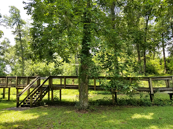 Boardwalk: Thoughtfully designed walkways protect the sacred site while offering visitors prime viewing angles of this archaeological marvel.