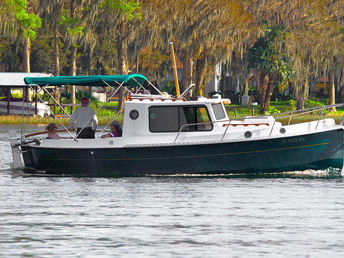 Cruising the canal's amber waters offers a front-row seat to Florida's prehistoric landscape, where every bend reveals new natural wonders.