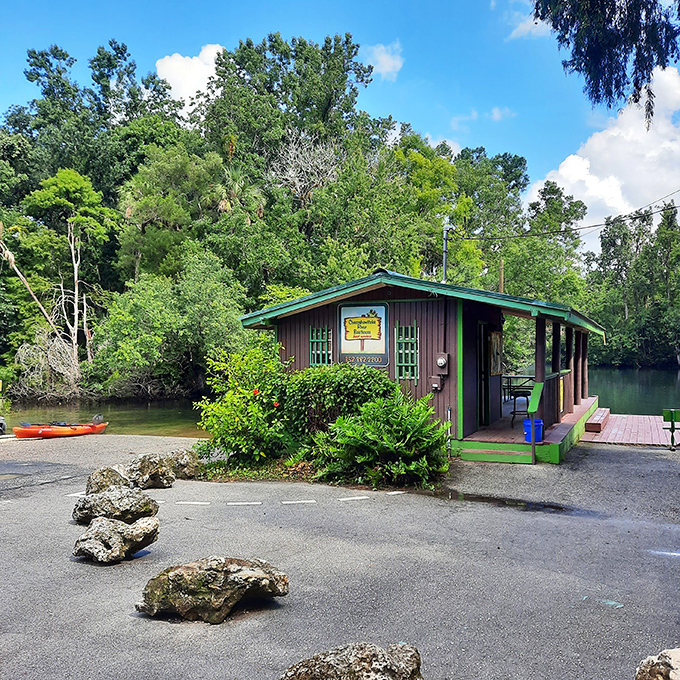 The humble boathouse stands as gatekeeper to aquatic adventures, its weathered wood telling stories of countless river journeys.