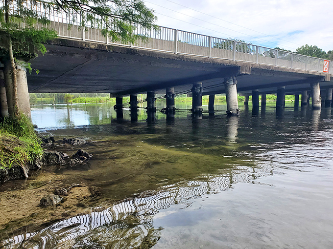 This isn't just any bridge &ndash; it's the dividing line between civilization and the wild Florida that existed long before theme parks.