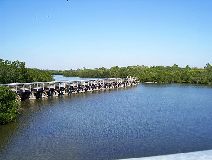 Engineering meets nature: This wooden bridge spans peaceful waters, offering moments of reflection and prime wildlife viewing opportunities.