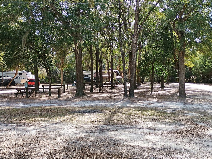 The campground offers peaceful respite under Spanish moss-draped trees &ndash; nature's version of five-star accommodations without the room service.