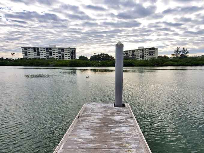 Even under cloudy skies, the park maintains its magnetic appeal, proving that beauty doesn't require perfect weather, just perfect perspective.