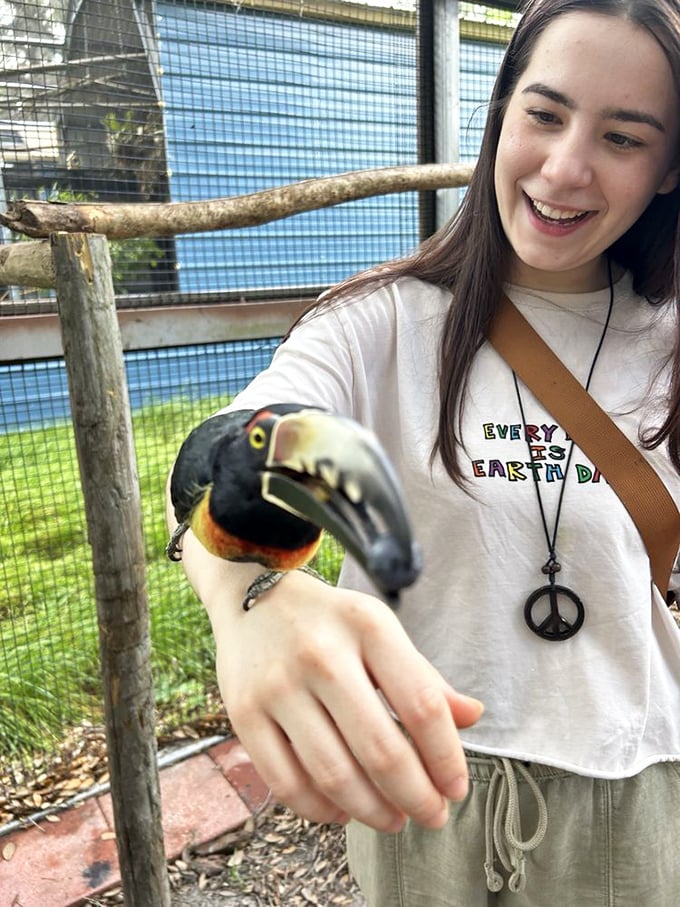 A colorful toucan perches on a visitor's arm, its magnificent beak a striking contrast to the sanctuary's primarily mammalian inhabitants.