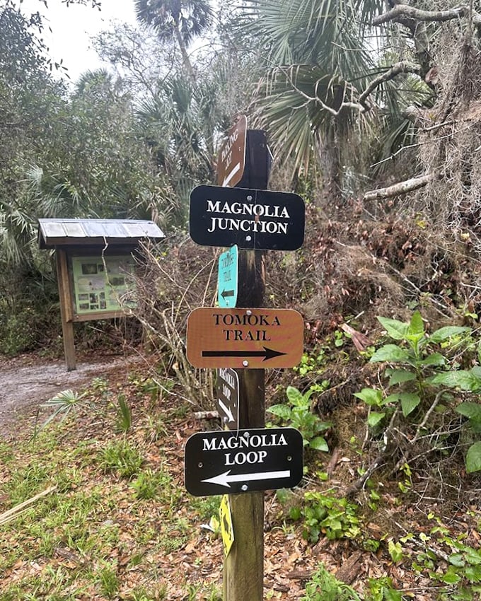 Trail signs at Magnolia Junction &ndash; nature's version of a choose-your-own-adventure book, each path promising different ecological wonders.