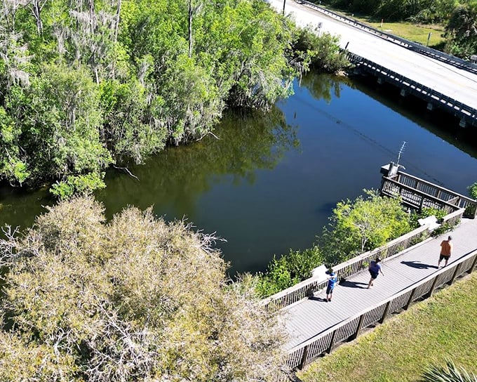 From this elevated vantage point, the preserve reveals its patchwork of waterways and wilderness stretching to the horizon.