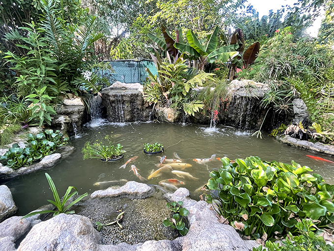 Tranquility flows through the Japanese-inspired koi pond, where golden fish dart beneath lily pads in a dance as old as time.