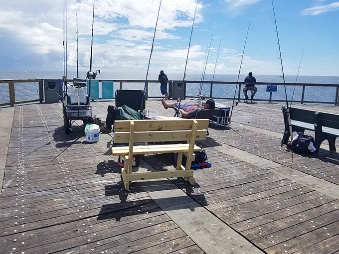 Fishermen's paradise: Where patience isn't just a virtue, it's the admission price to the day's excitement.