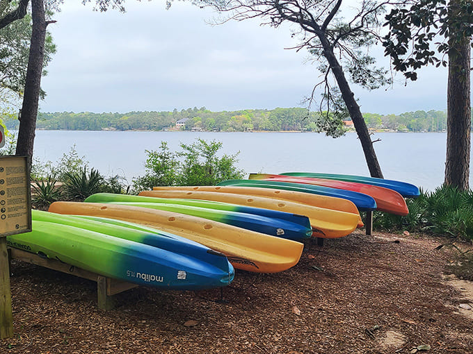 A rainbow of kayaks waits patiently for their next aquatic adventure, lined up like colorful soldiers ready for deployment.