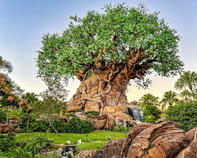 Morning light bathes the Tree of Life in golden hues, highlighting different animal carvings and creating an ever-changing visual feast.