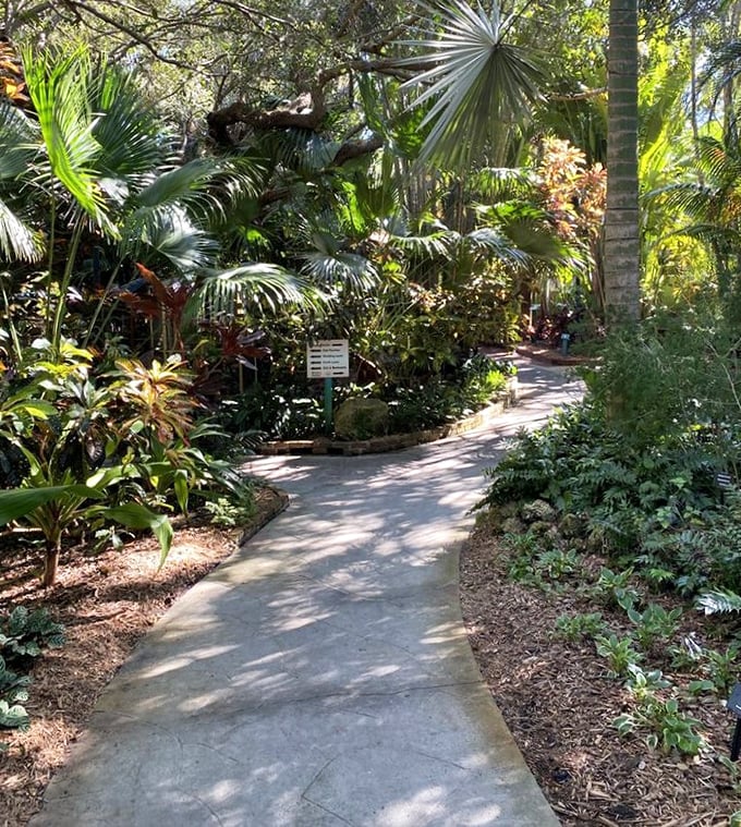 The garden's pathways aren't merely walkways &ndash; they're botanical storylines, each turn revealing a new chapter in nature's narrative.