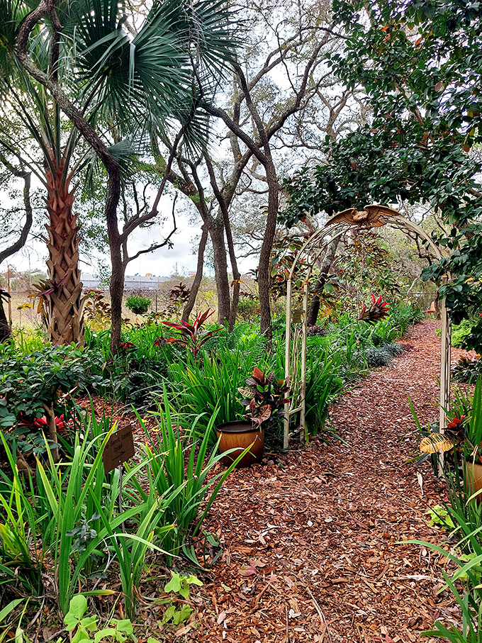 Mulched pathways wind through vibrant plantings, inviting exploration with each curve &ndash; nature's version of "what's around the next corner?"