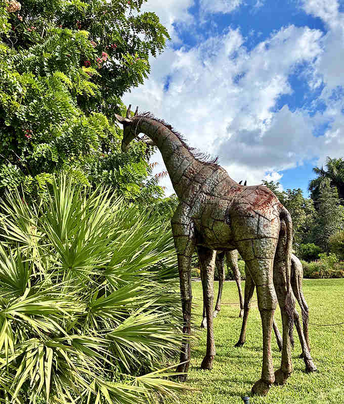 This wire-frame giraffe stands tall among palm fronds, somehow looking both completely out of place and perfectly at home in this botanical wonderland.