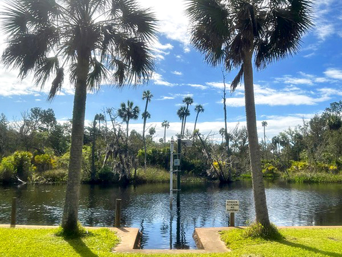 Between two palms: Nature frames the perfect launching spot for kayaking adventures on glass-like waters.