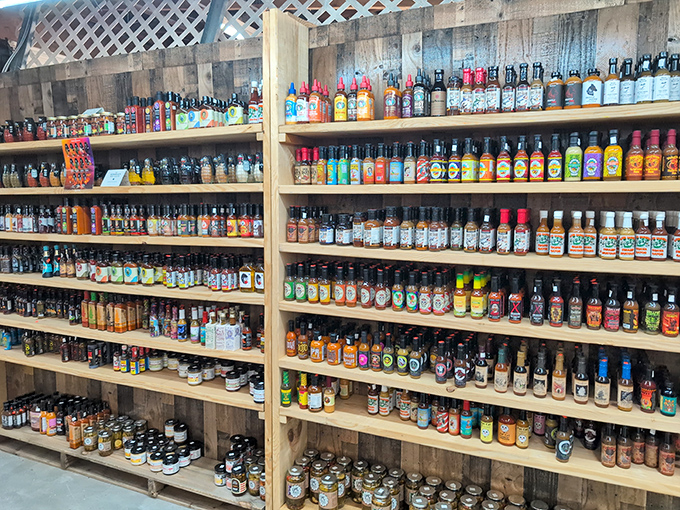 Hot sauce heaven! This fiery collection could make a dragon sweat &ndash; from mild marinades to five-alarm infernos, every bottle tells a spicy story.