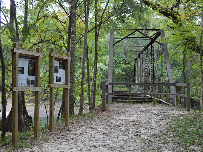 Knowledge awaits the curious at these interpretive signs, where history and legend intertwine like the vines climbing nearby trees.