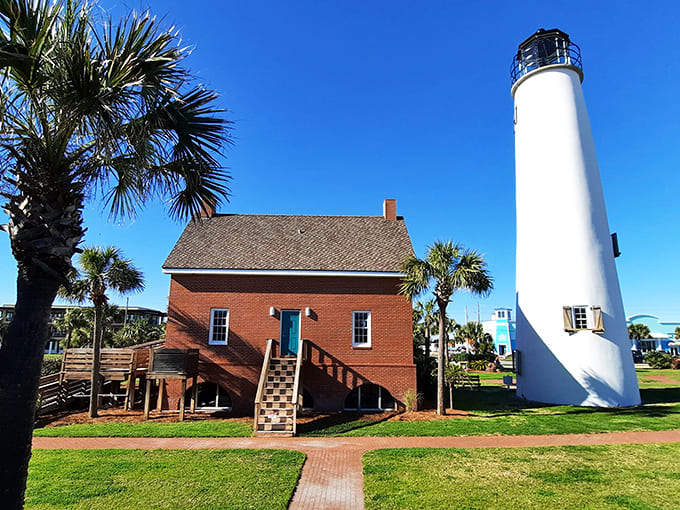 Lighthouse: The Cape St. George Lighthouse stands tall, a resilient sentinel with more comeback stories than a veteran comedian.