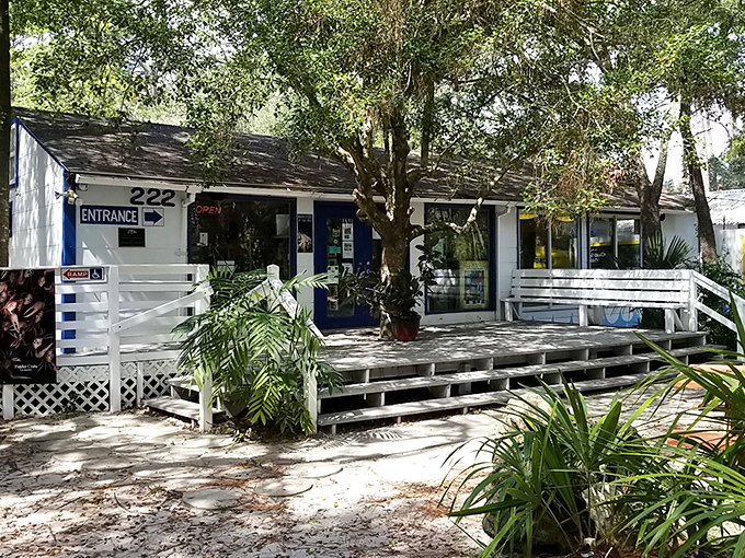 The weathered charm of this facility tells you immediately that substance matters more than polish here, and that's refreshing.