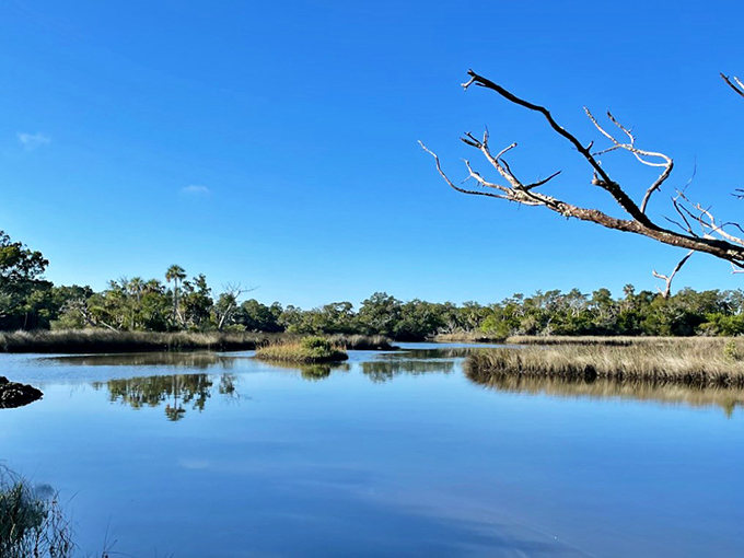 Mirror, mirror: The still waters create perfect reflections, doubling the beauty of this untouched coastal wilderness.