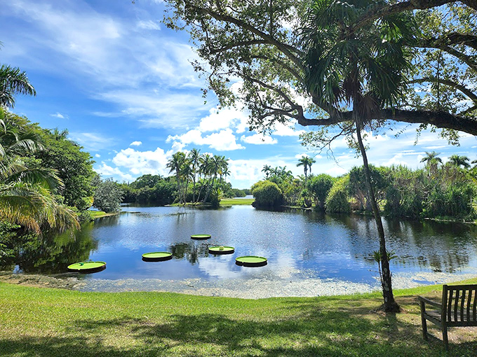 Giant lily pads float like nature's dinner plates, ready to host a fairy banquet under the watchful gaze of surrounding palms.