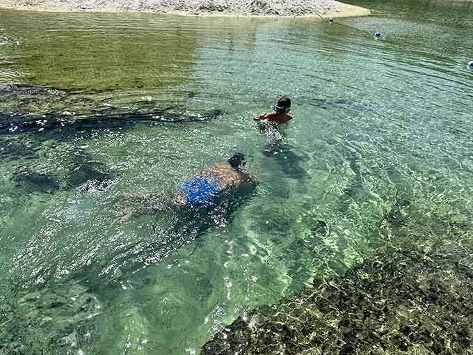 Watching people enjoy crystal-clear spring water never gets old, especially when you realize they're swimming in 72-degree perfection while you're still on the shore.