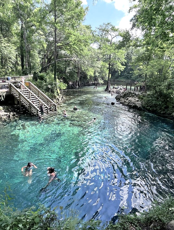 Madison Blue Spring Swimming Area: Where swimmers float suspended between two worlds &ndash; the air above and the mysterious limestone caverns below.